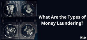 12 Types of Money Laundering: Methods and Schemes